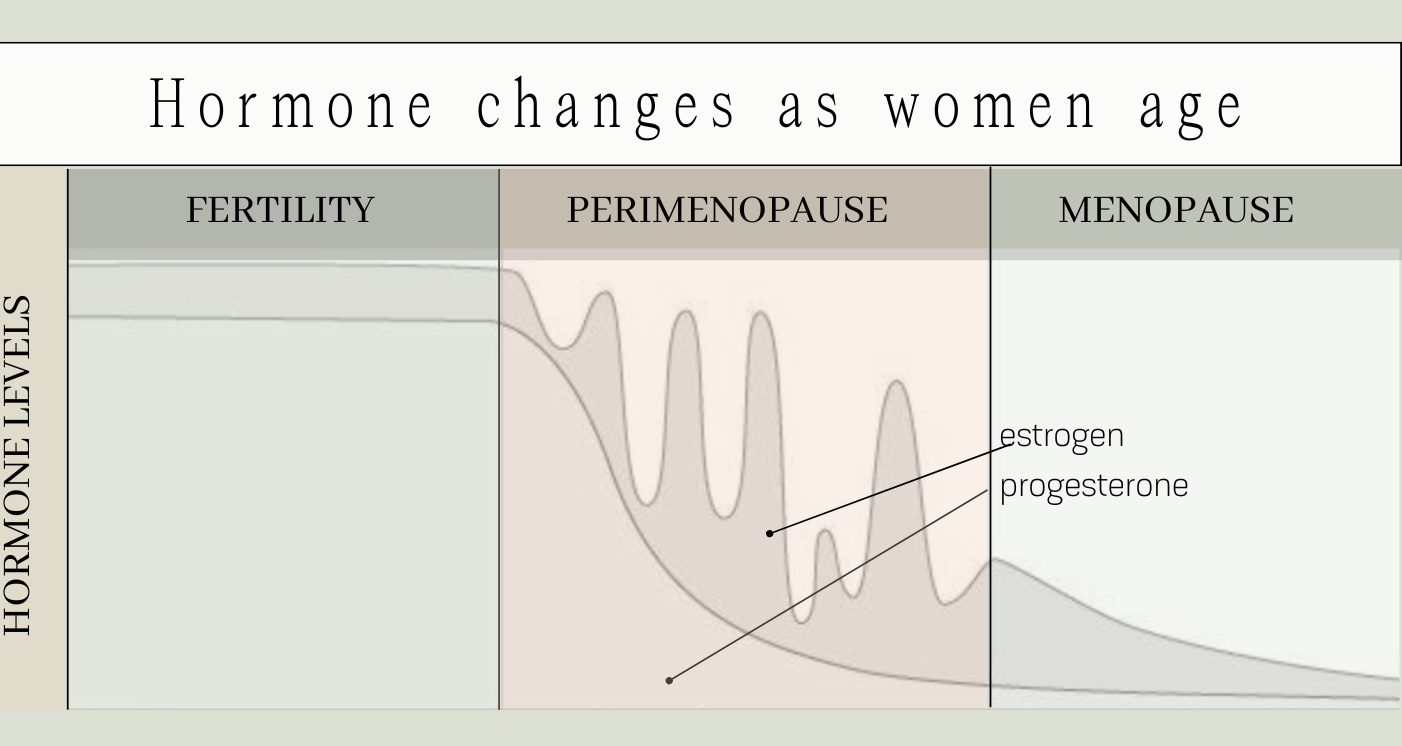 Understanding Menopause: Changes in Your Body — bonza health