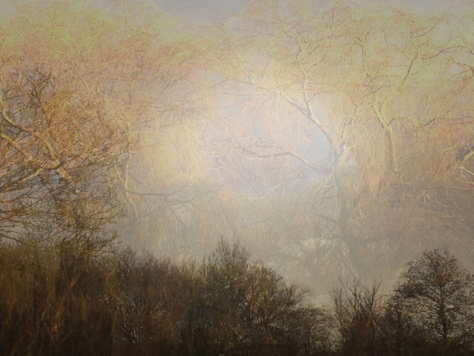 My Creative Process — Amanda Stuart