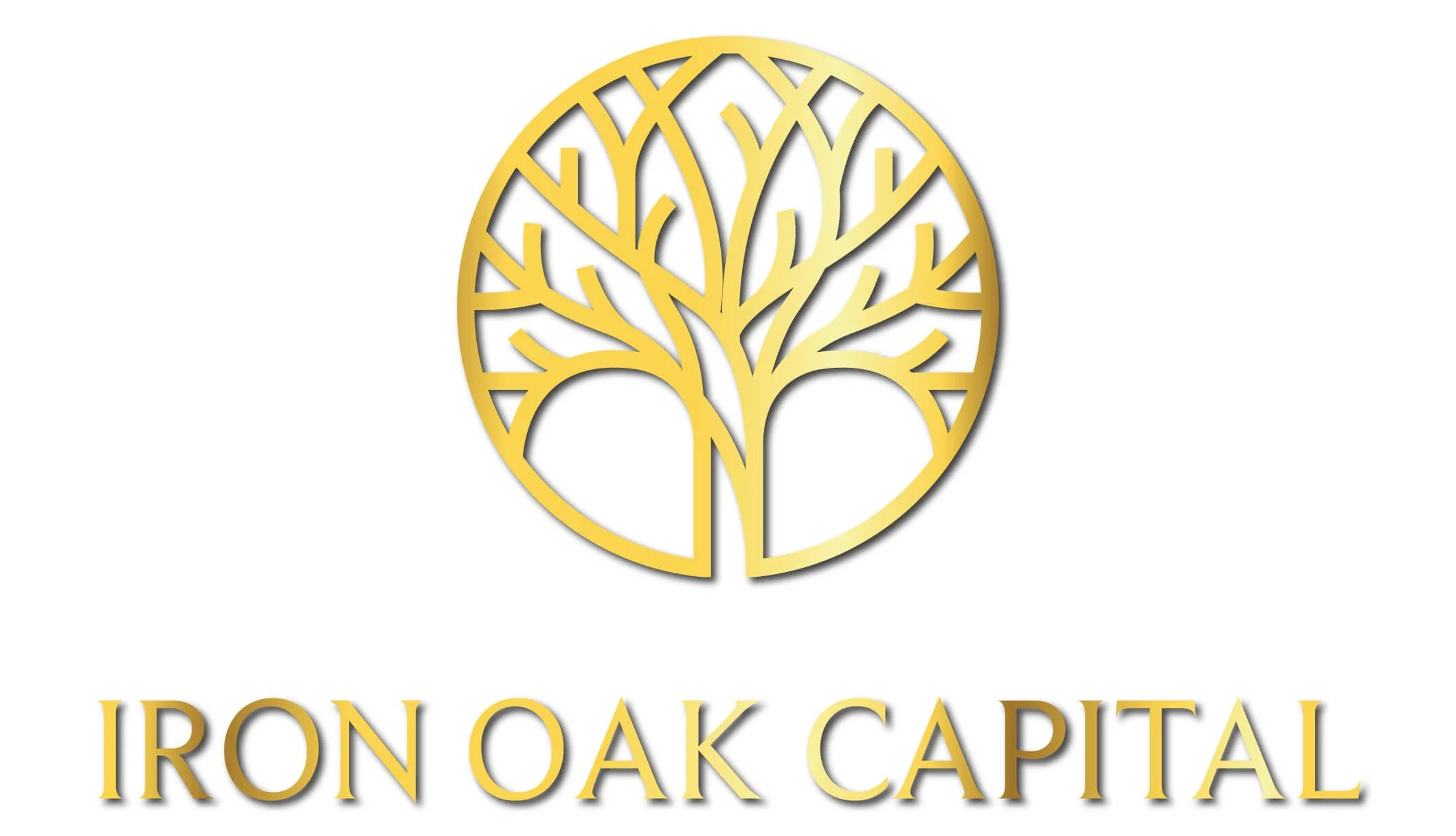 About — Iron Oak Capital