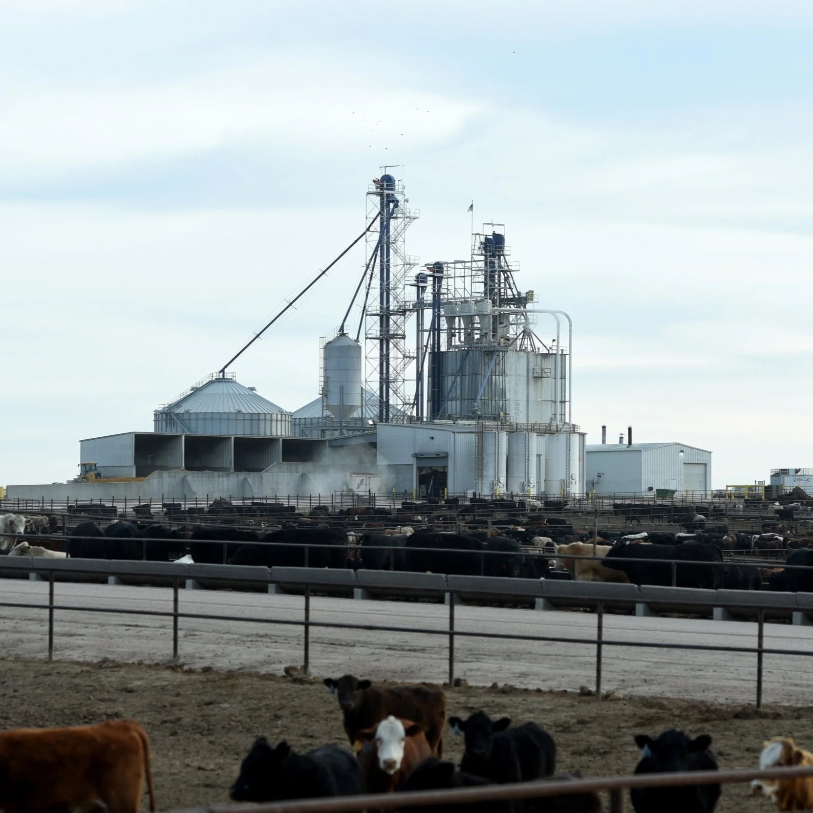 Locations — ILSBeef