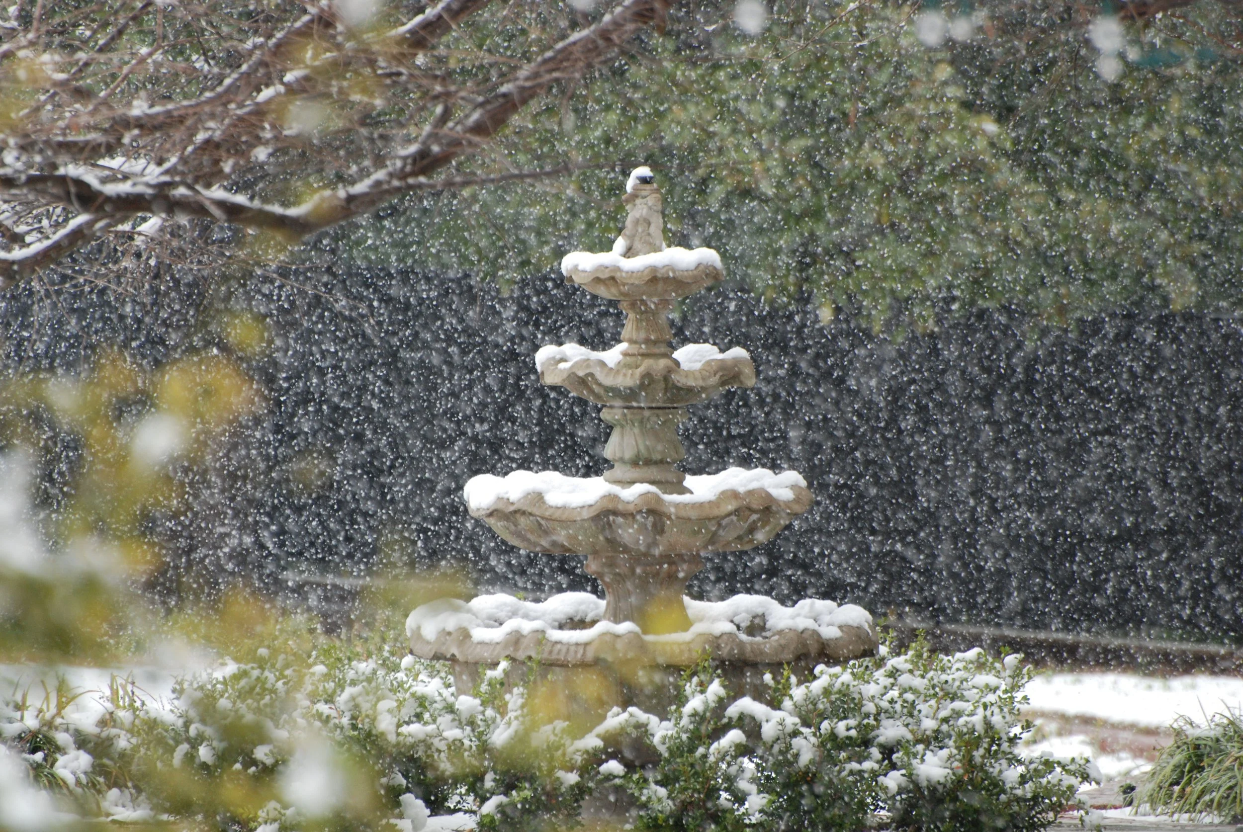 Earle-Harrison House