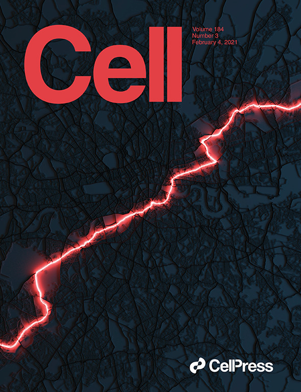 Publications — Edlow Lab