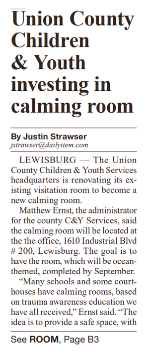 CMSU Behavioral Health & Developmental Services / Call 570.275.4962
