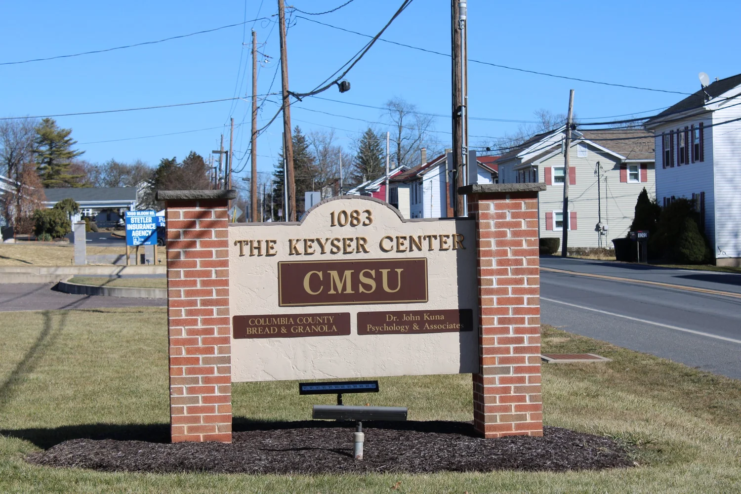 About Developmental Services — CMSU Behavioral Health & Developmental ...