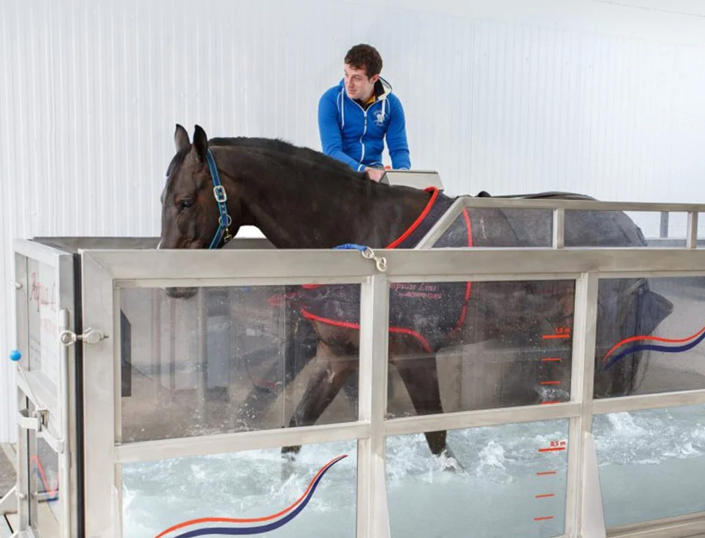 Classes — A&T Equestrian | Equine Aqua Treadmill