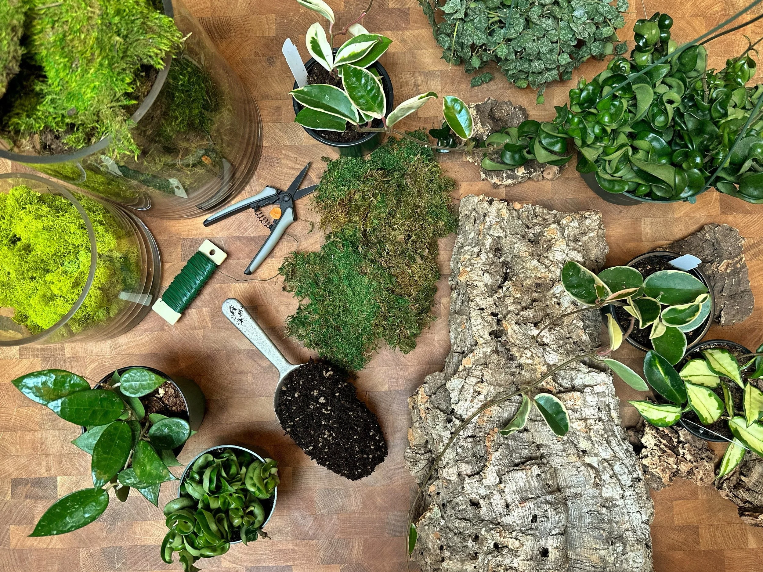 How to guide: Plant Mounts