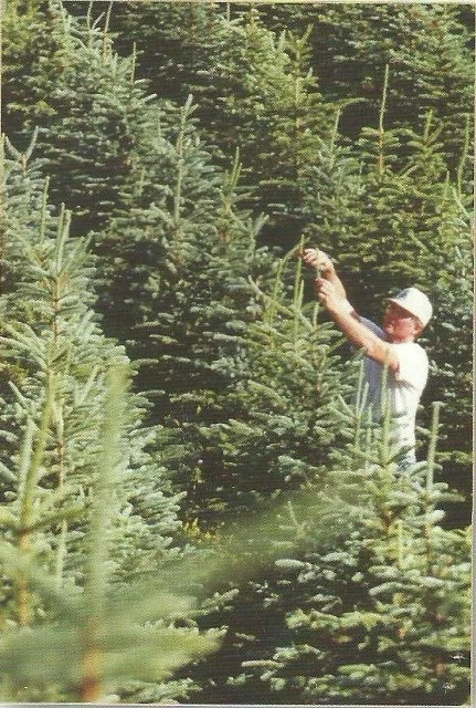 Gallery — Arend Tree Farms