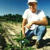 Gallery — Arend Tree Farms