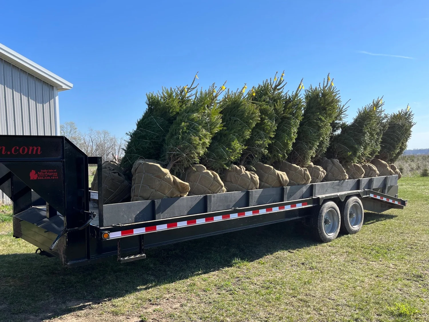 Landscape Trees — Arend Tree Farms