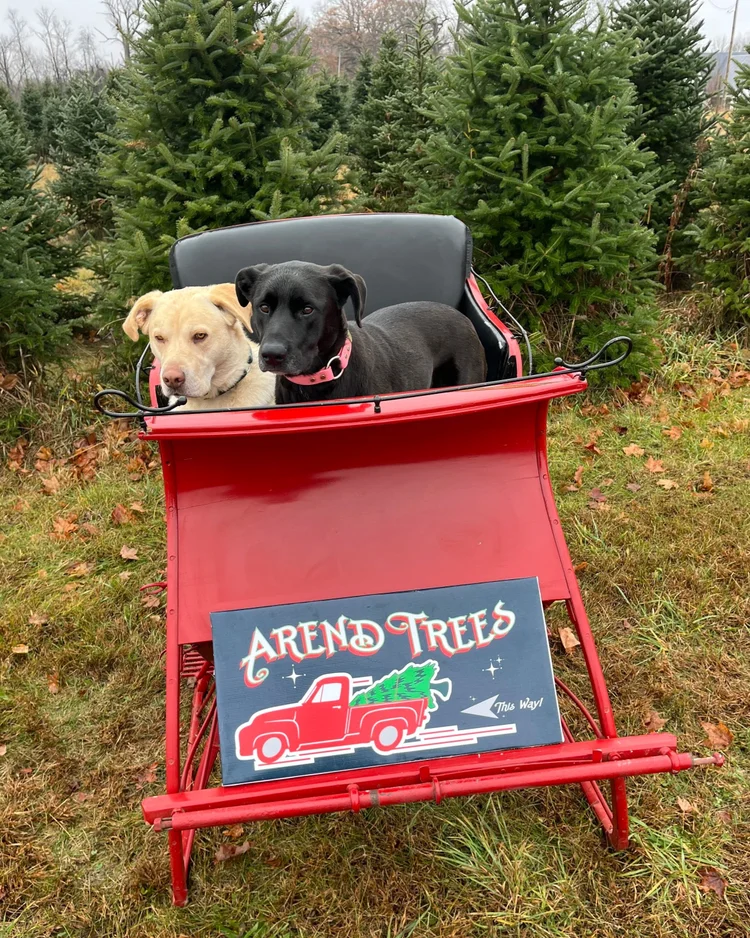 Arend Tree Farms
