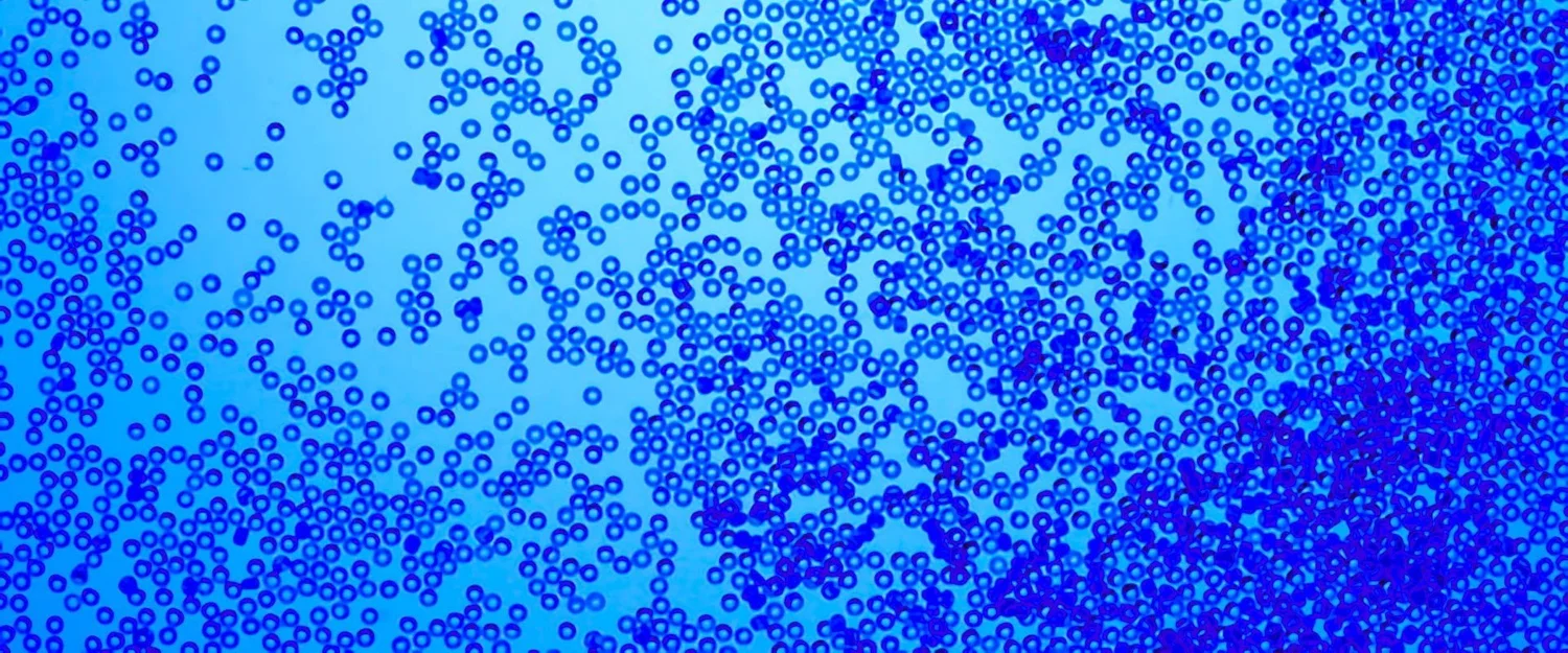 Thymmune Therapeutics