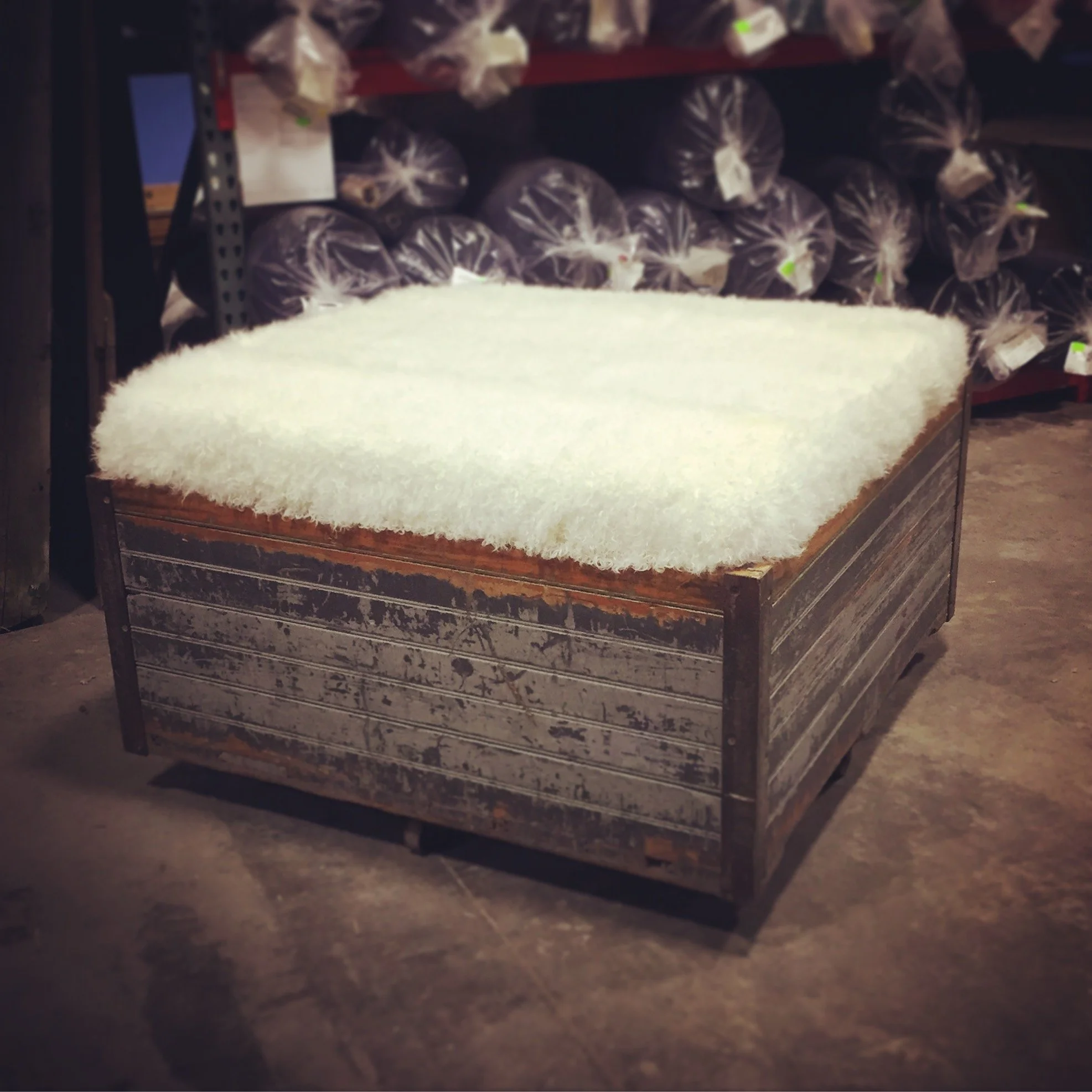 Eliza Lyford Chappell