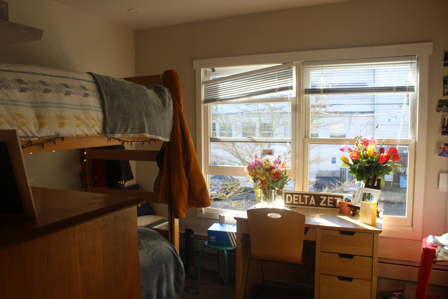 uwpanhellenic