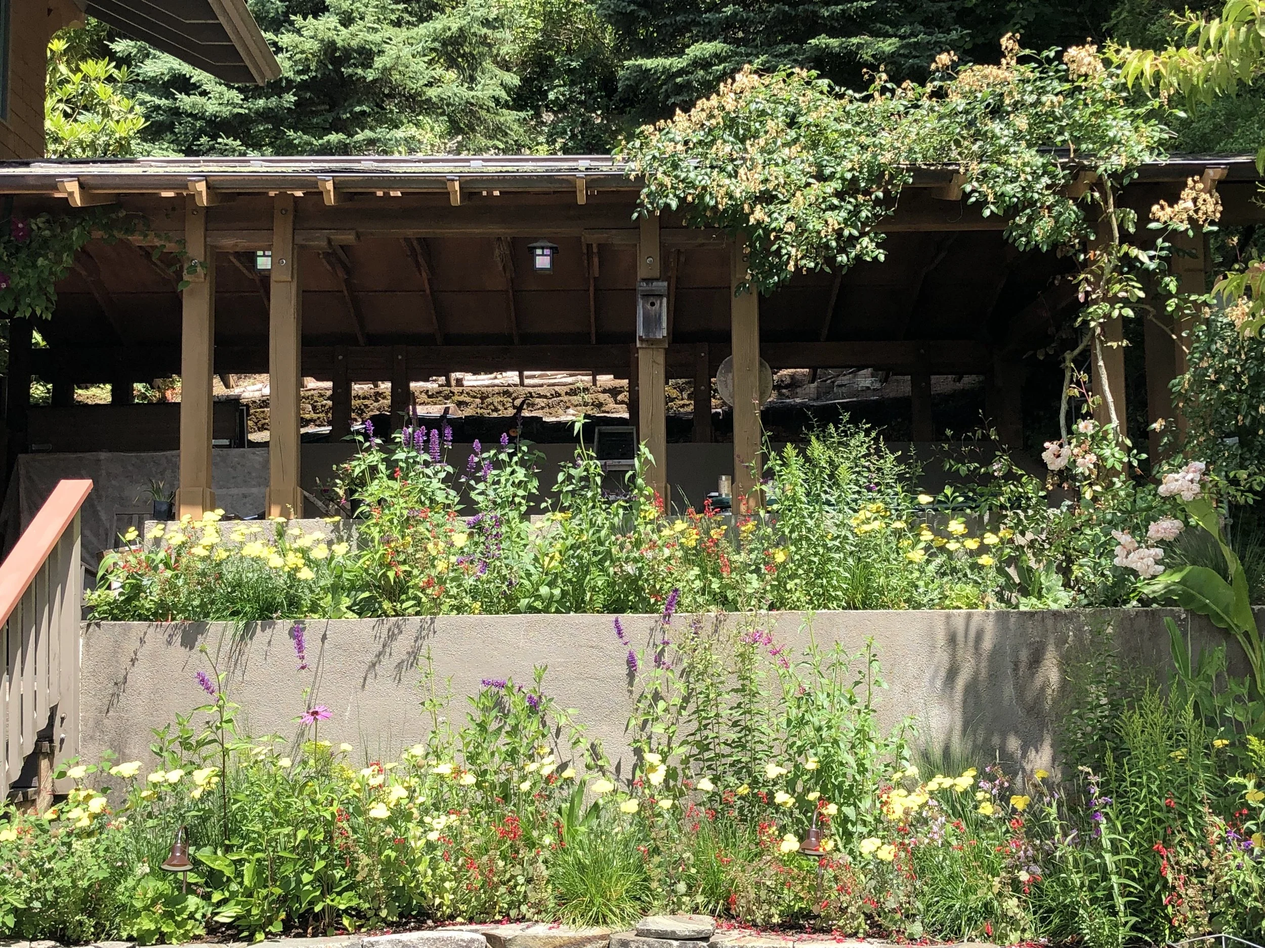 Various & Sundry Projects — Amaranth Organic Gardening