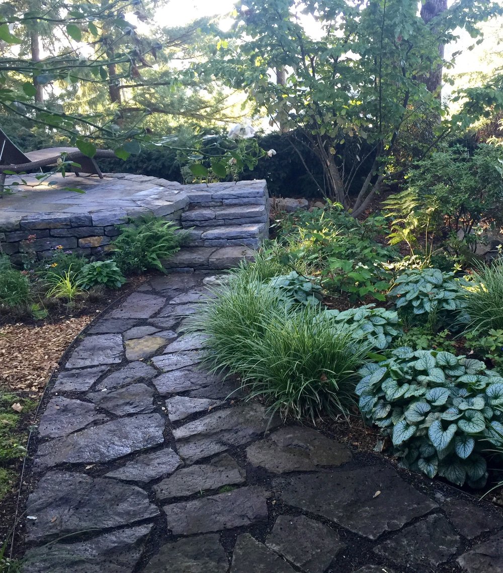 Various & Sundry Projects — Amaranth Organic Gardening