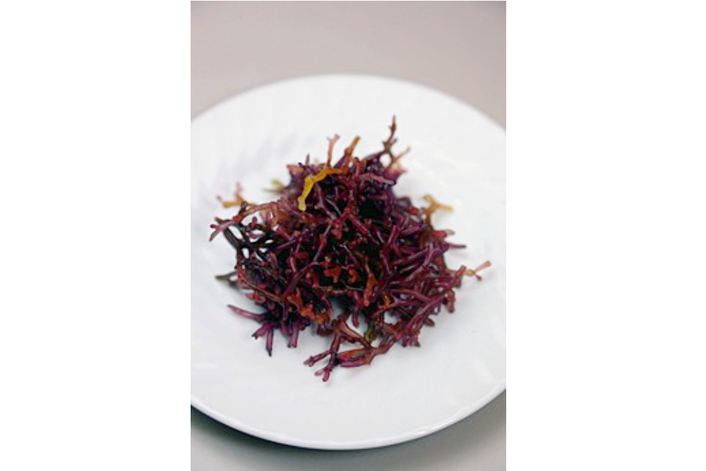 Tofu Poke — Aloha Tofu Factory