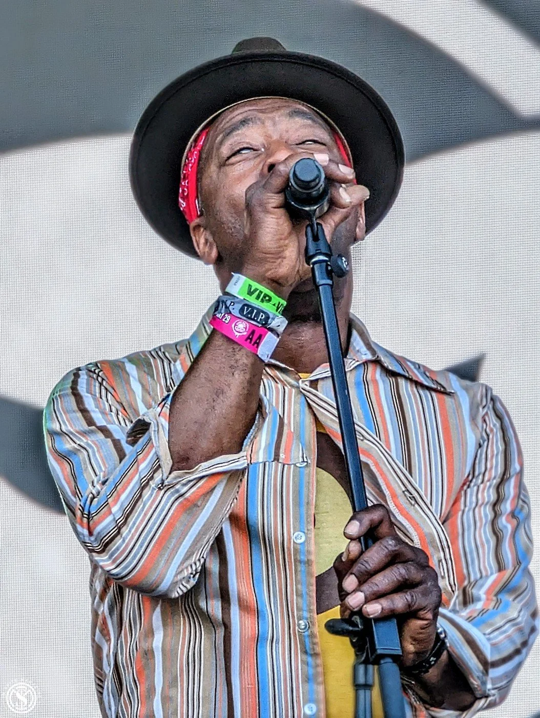 A Tribute to a Man Who Made our Lives Better, the Great Greg Lee — In ...