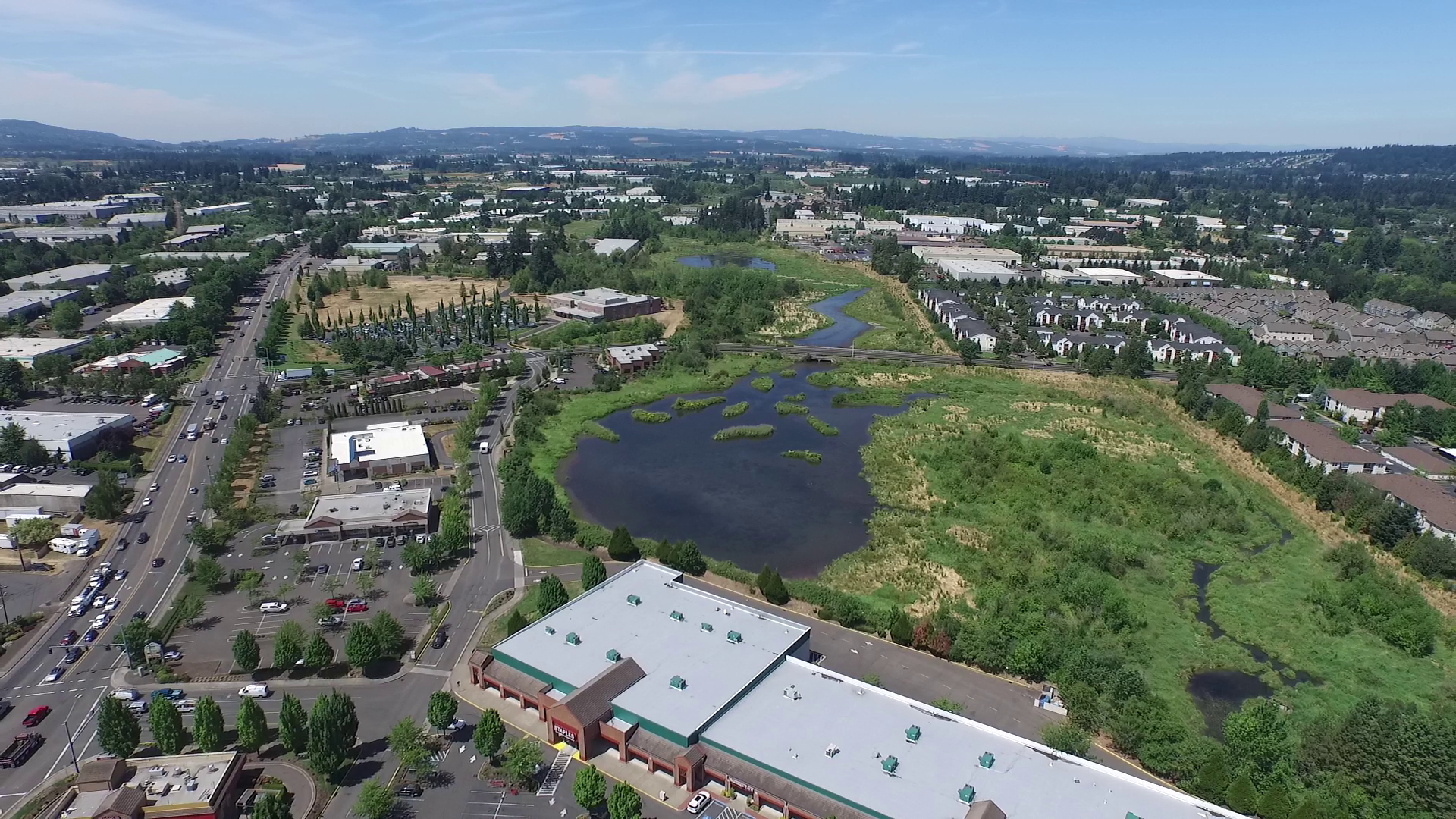 History — The Wetland Conservancy