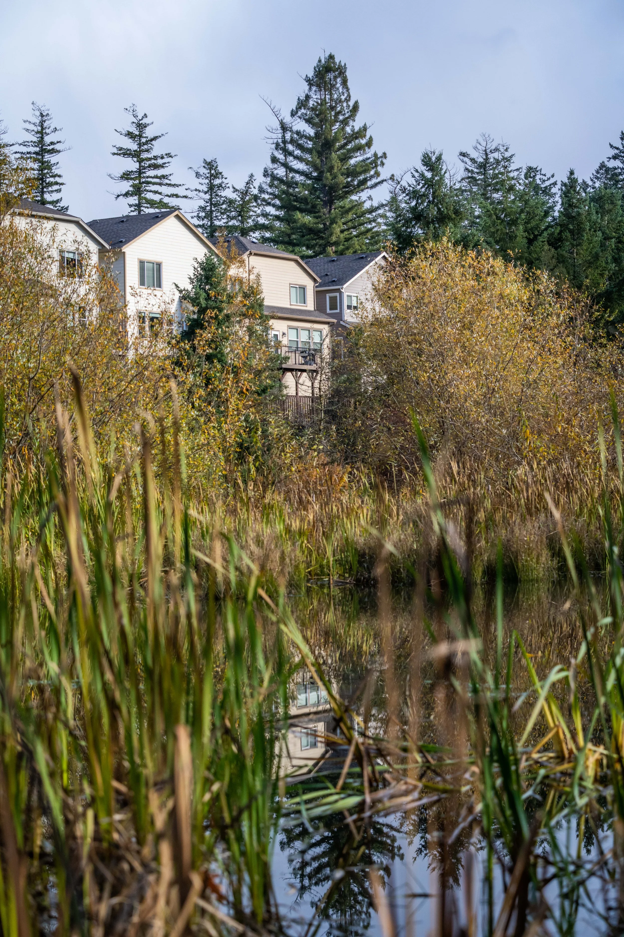 Wetlands 101 — The Wetland Conservancy