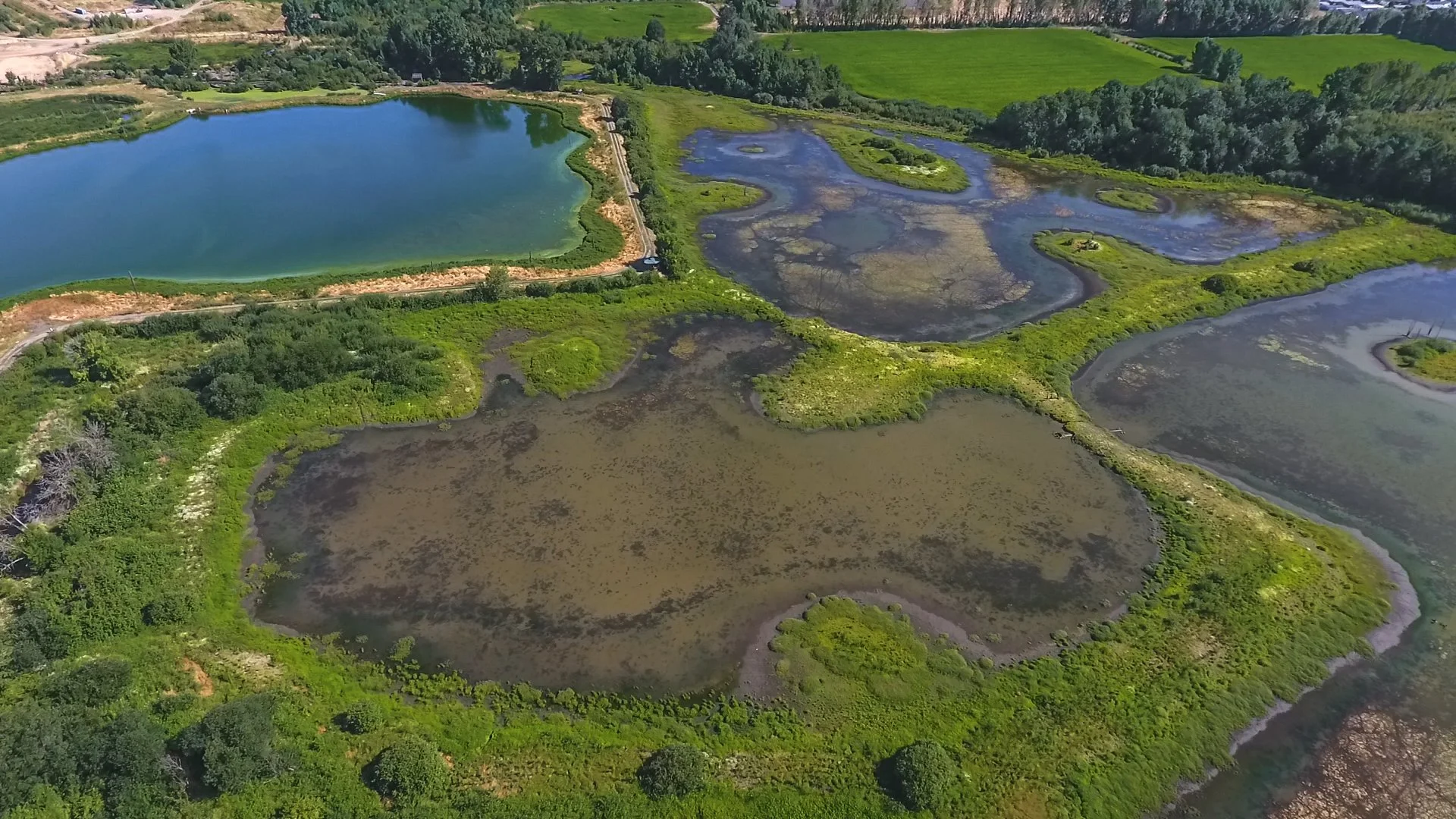 Constructed Wetlands The Wetland Conservancy Constructed Wetlands The Wetland Conservancy