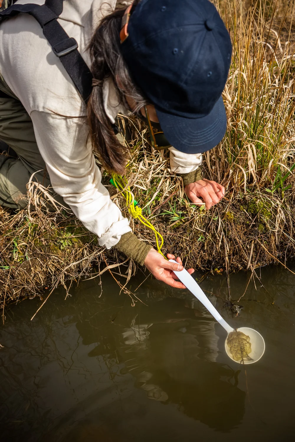 Community Science — The Wetland Conservancy