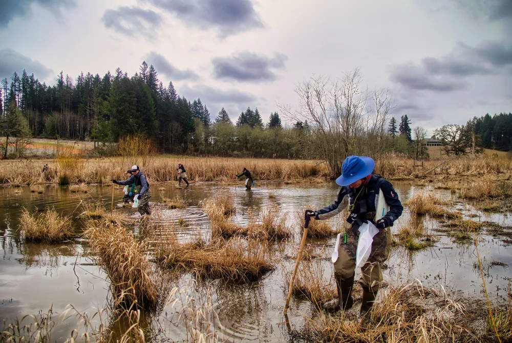 About — The Wetland Conservancy