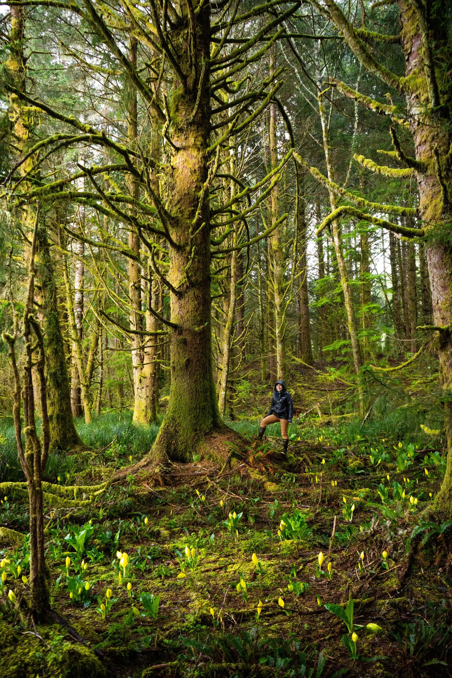 What's a Wetland — The Wetland Conservancy