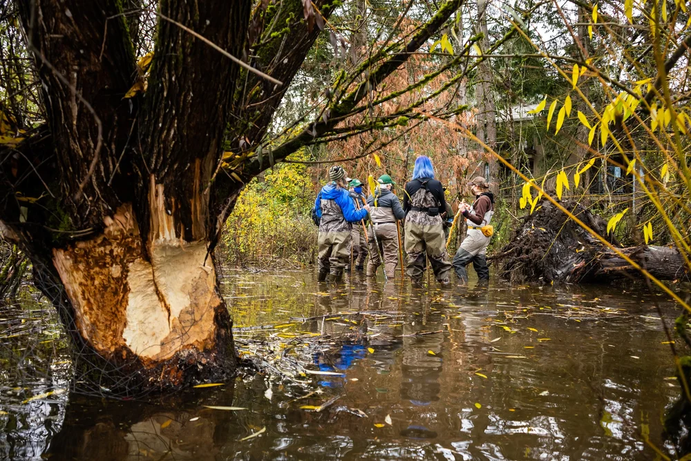 Get Involved — The Wetland Conservancy