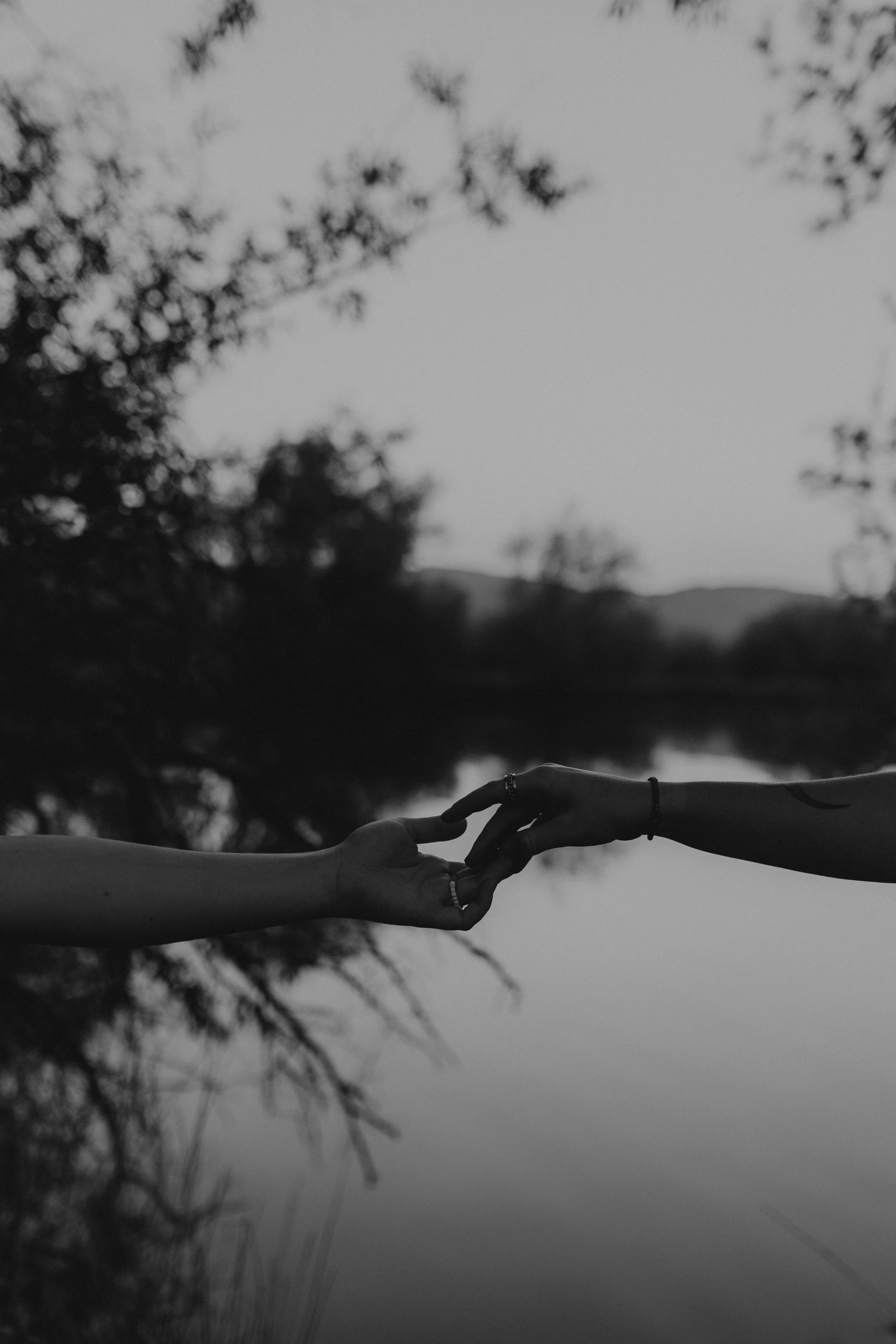 Madelyn Harris Photography