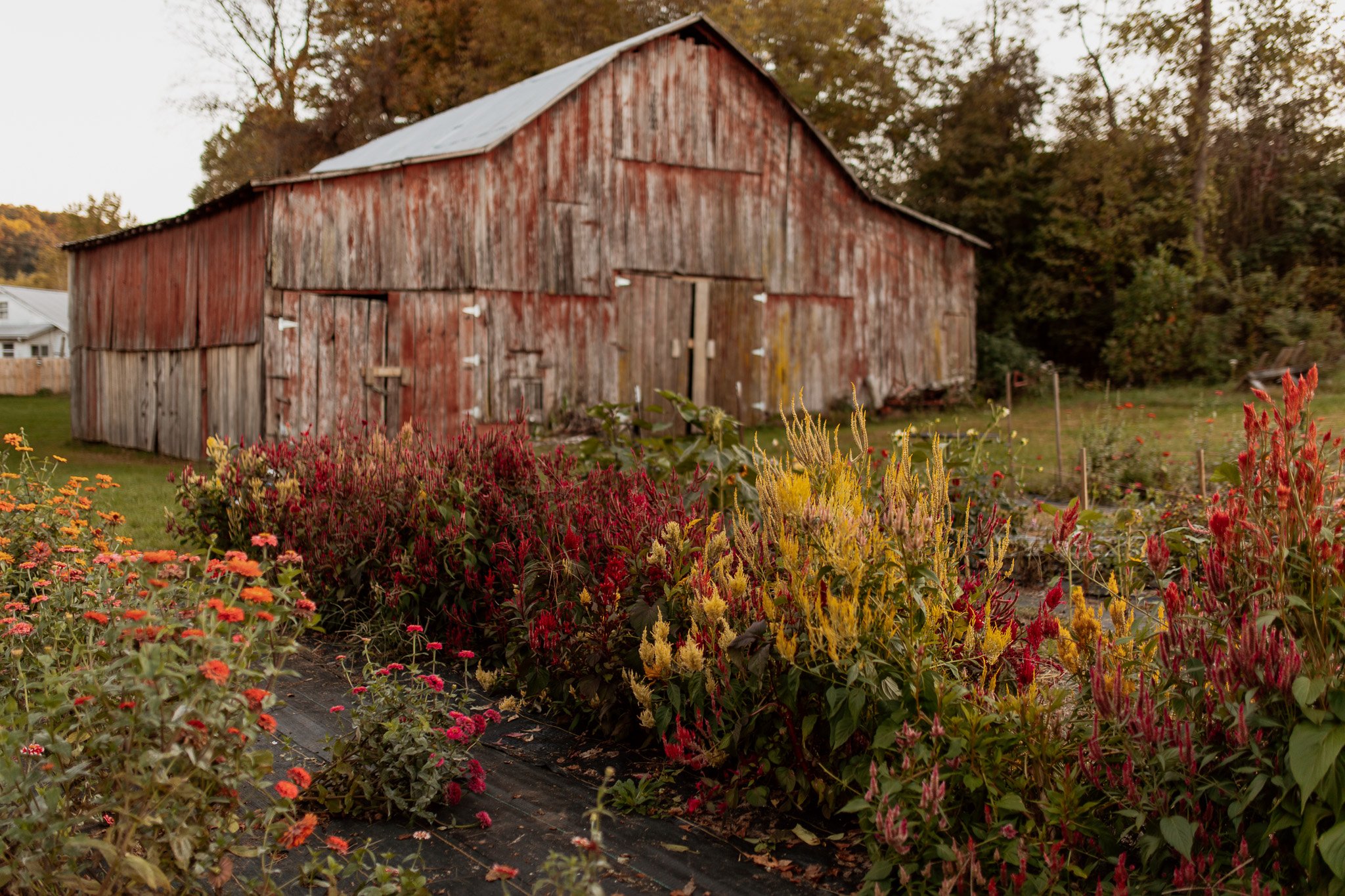 General 4 — Harvey Family Farm