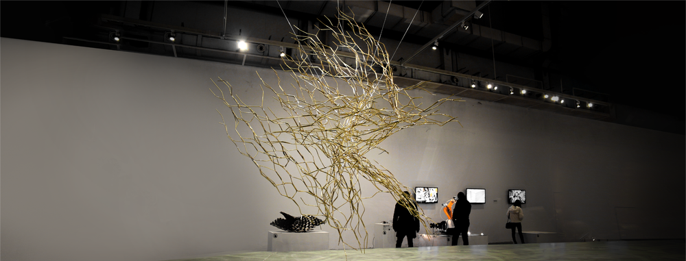 PROJECTS — Tectonic Formation Lab