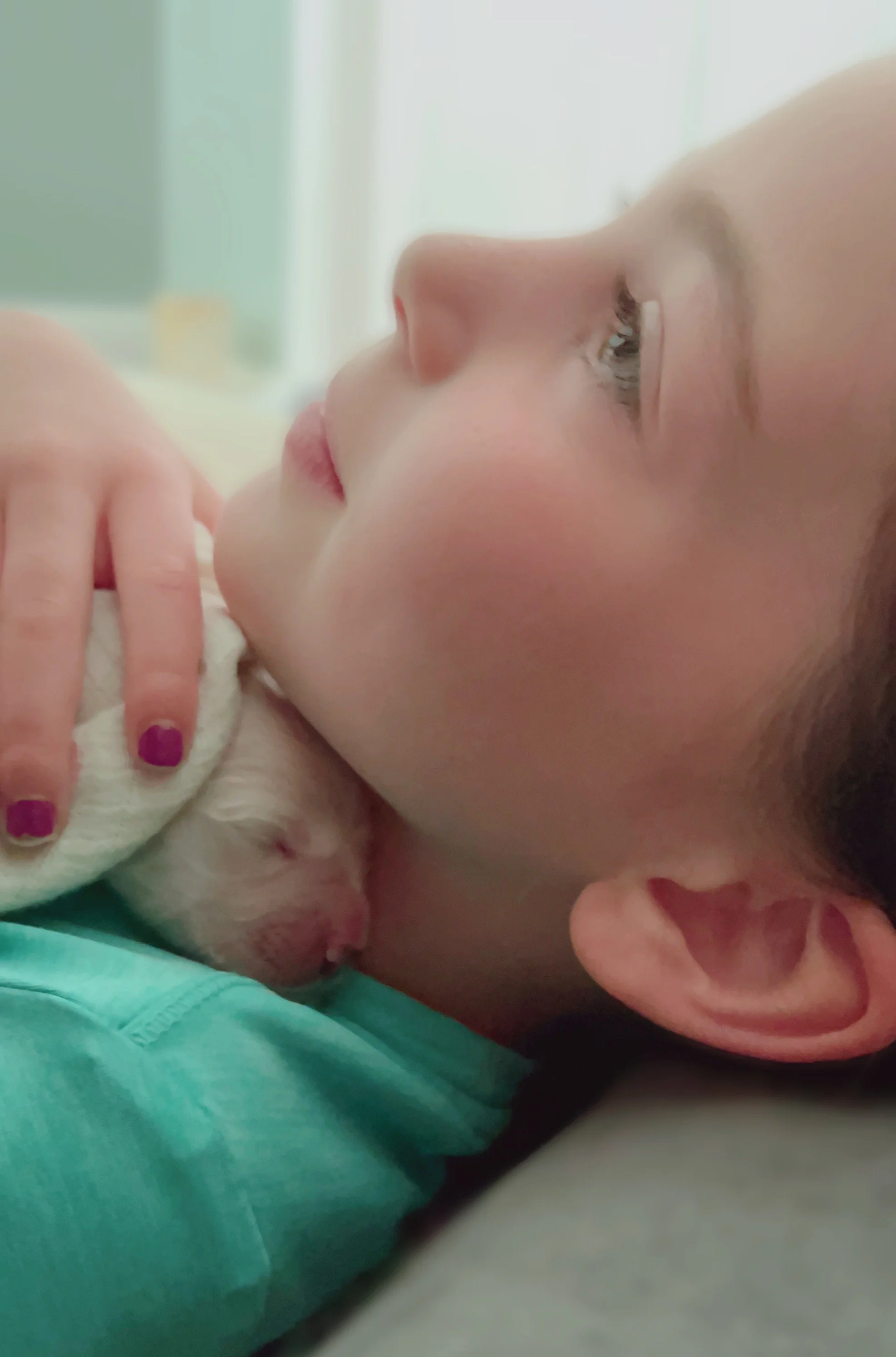 Puppies — Gildea Goldens