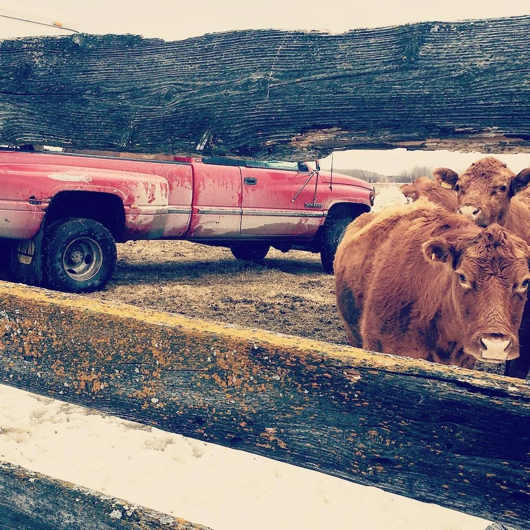 Prairie Grass-Fed Meats