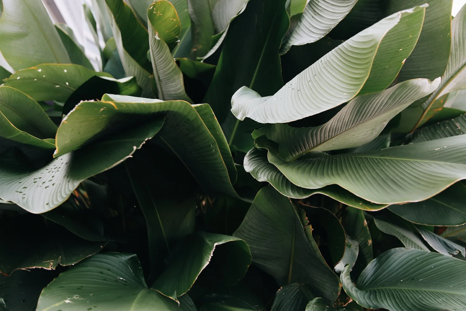 Leading health and wellness clinic — Mosman Integrative Medicine ...