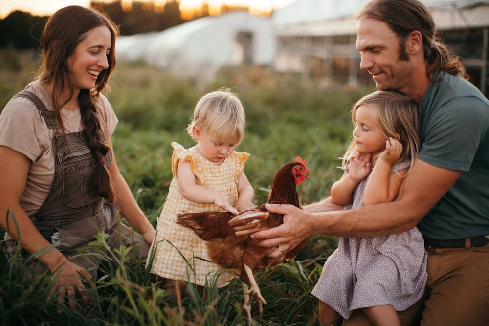 Local pasture-raised eggs for Southeastern Wisconsin — Three Brothers Farm