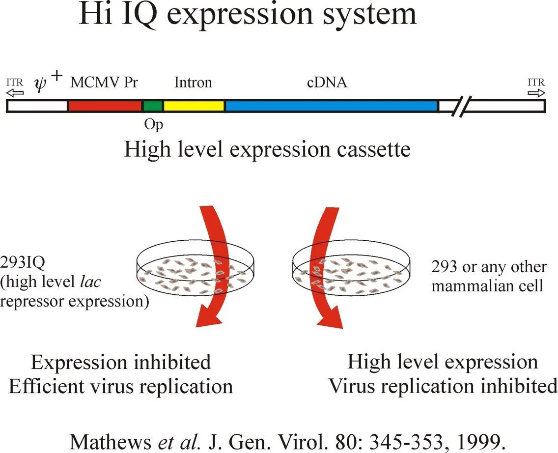 Expression of Inhibitory Proteins — AdVecTM