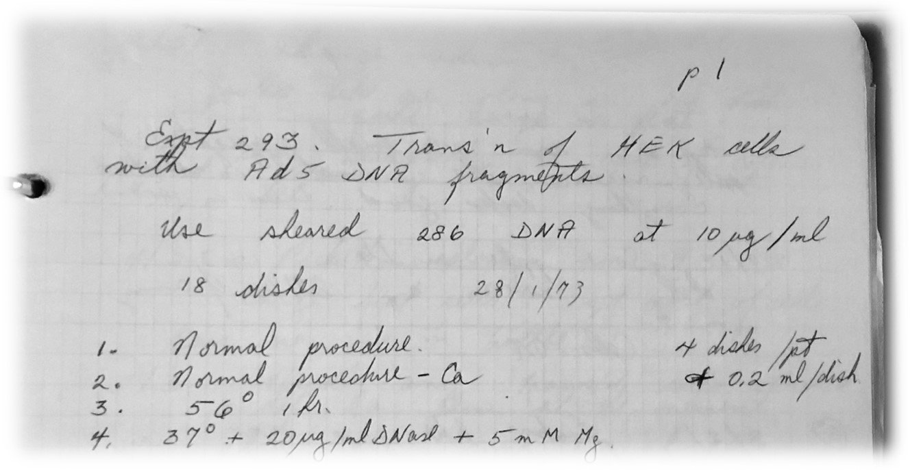 History of HEK293 Cells — AdVecTM