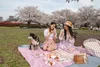 Everything you need to know to host a sakura picnic in Tokyo! — Pretty ...