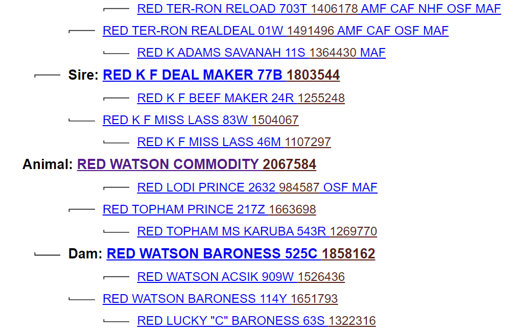 Sires — Rafter L Angus