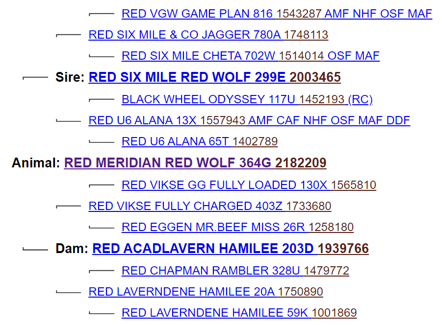 Sires — Rafter L Angus