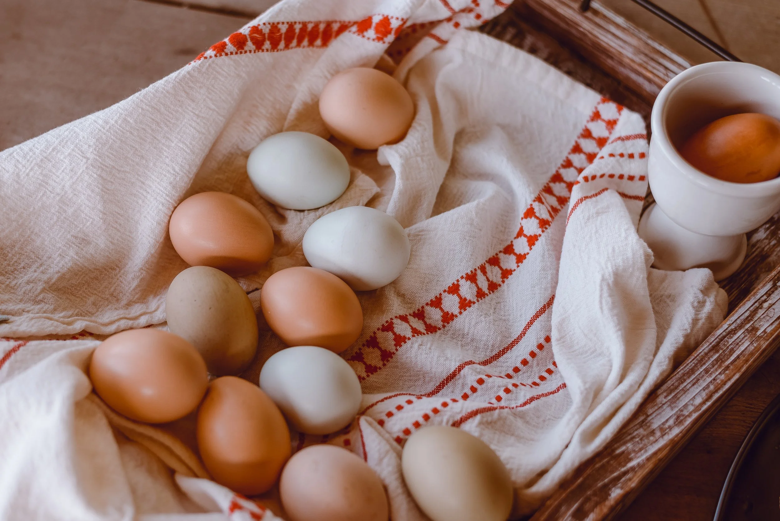 Dani Bertoia: Visual Diary — Danielle Bertoia