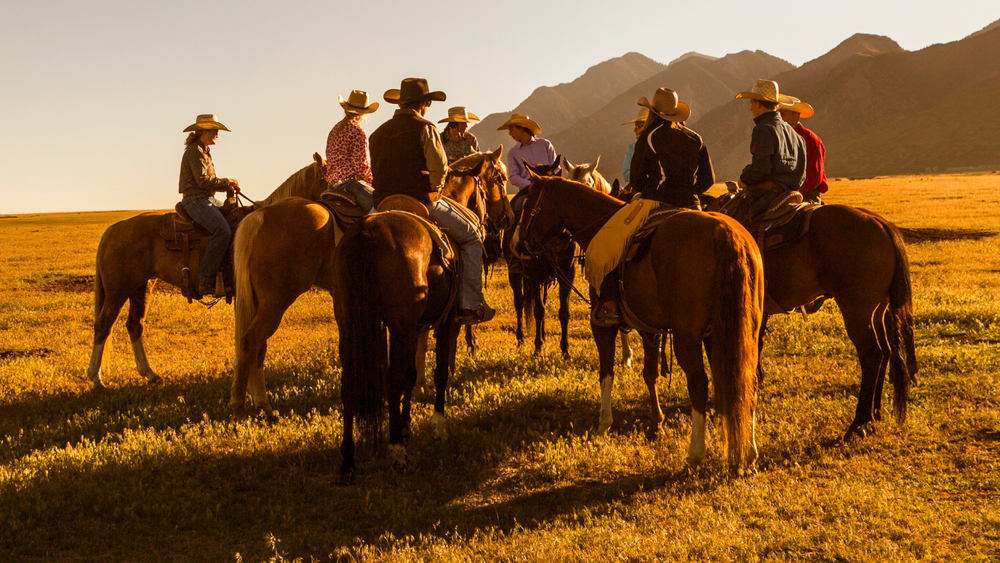 Traditional Therapy Services — Warriors Wellness & Recovery Ranch