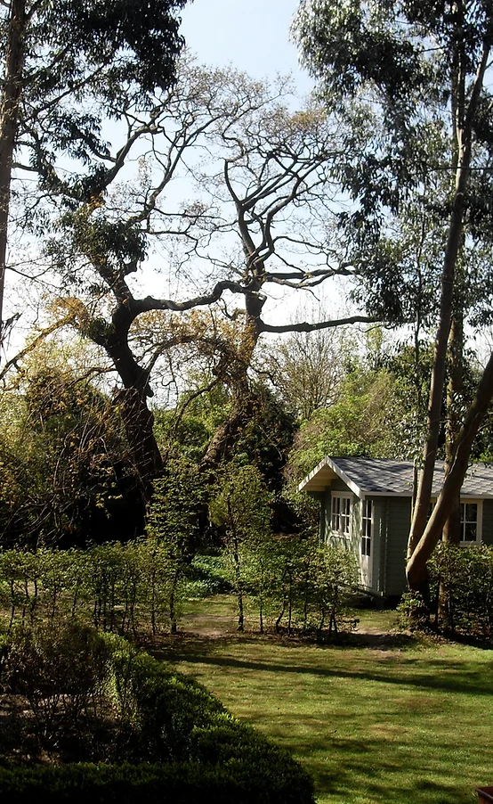 Contact — Rachel Deacon Art