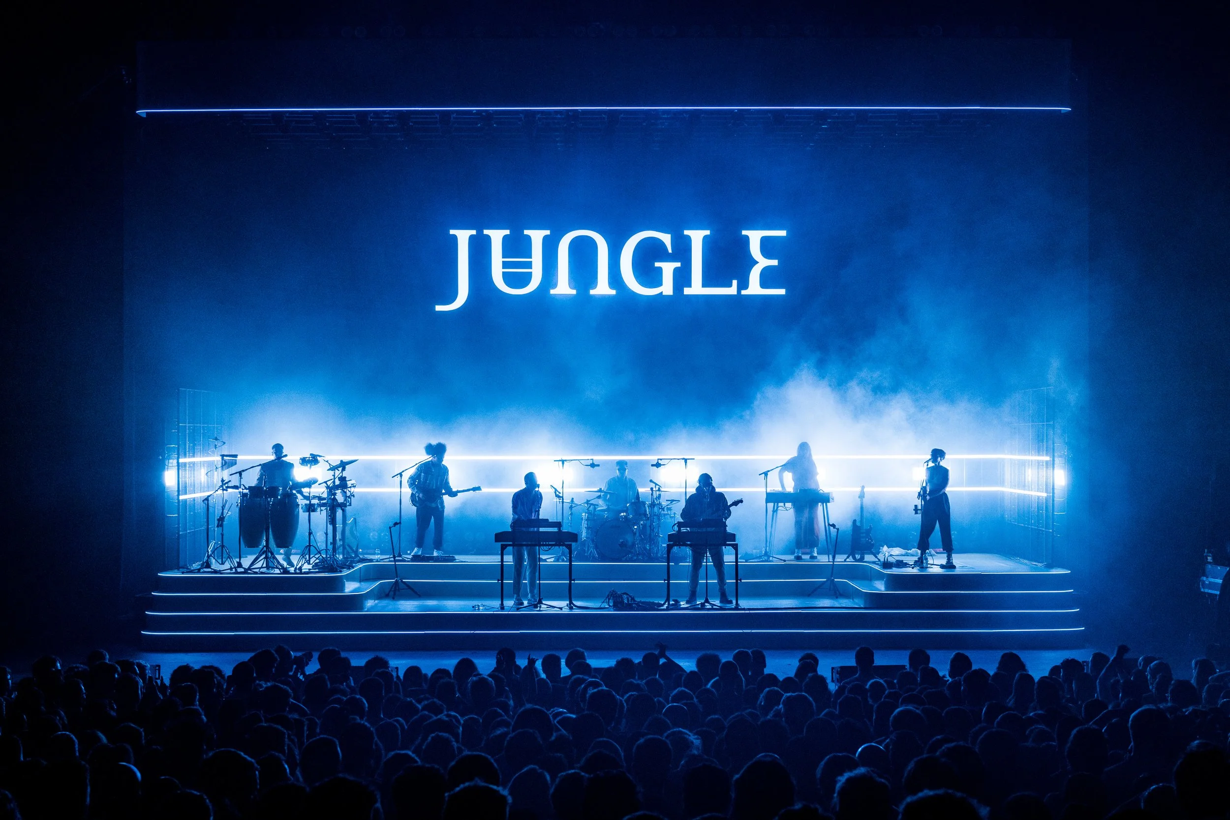 Jungle — Cassius Creative