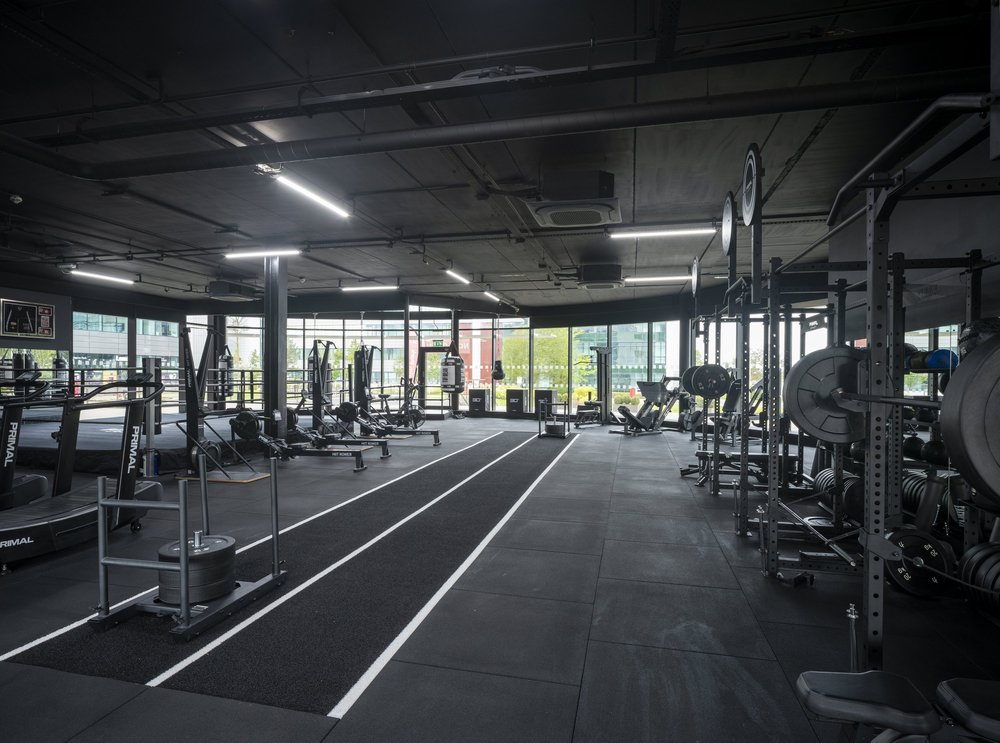 Our Park — Maxim Park