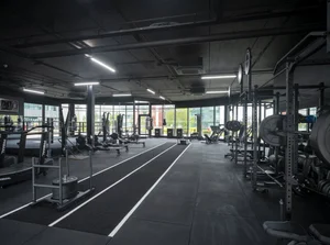 Our Park — Maxim Park