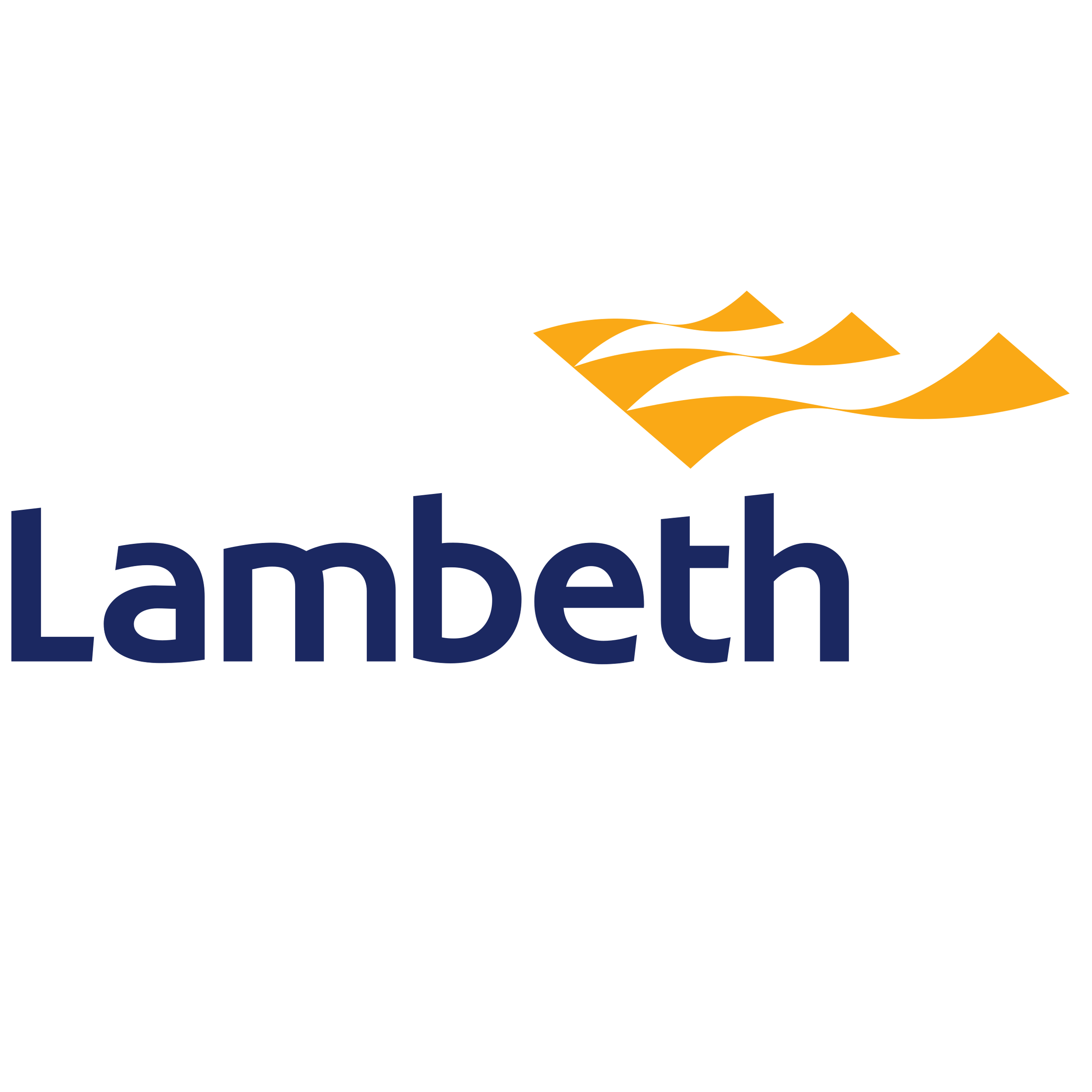 Partners and Funders — Citizens Advice Merton and Lambeth