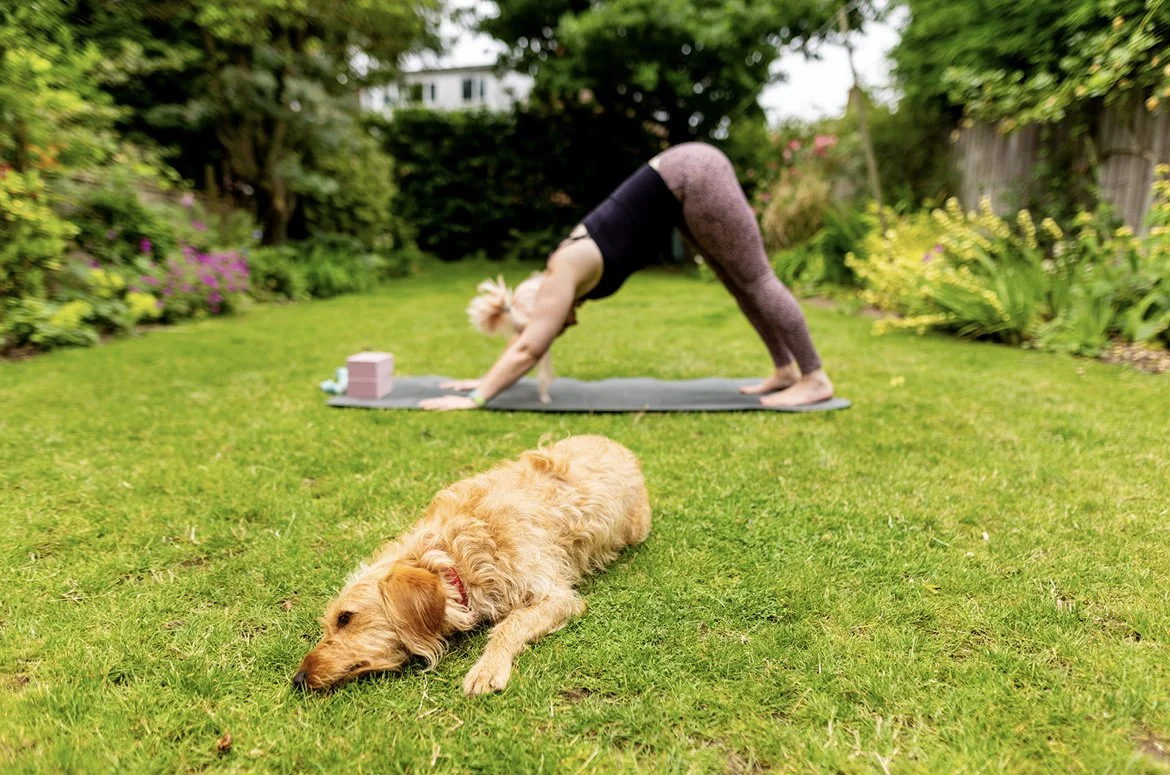 Online Yoga Classes for Busy Women | Eat Sleep Yoga