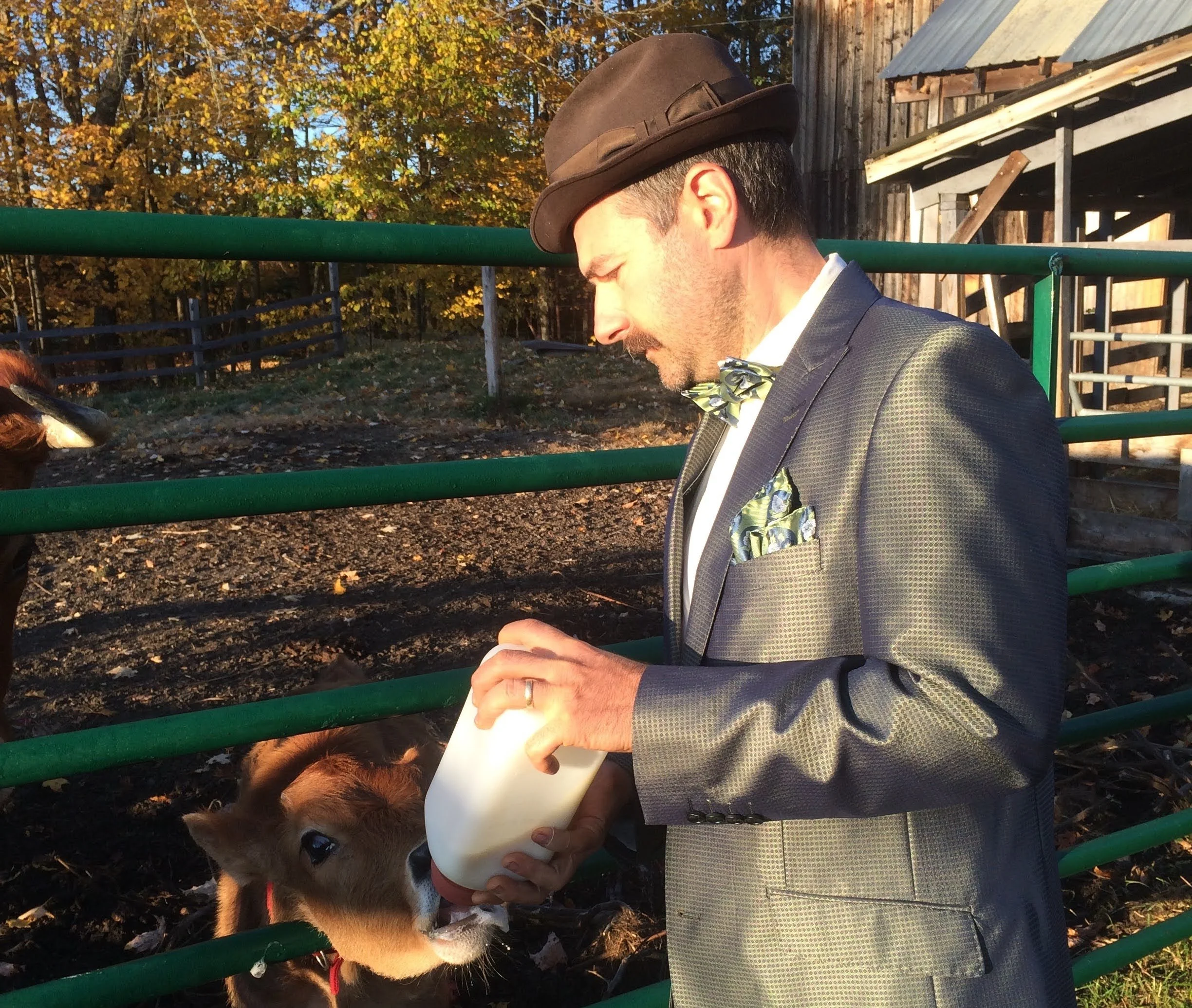 Episodes — Rumble Strip