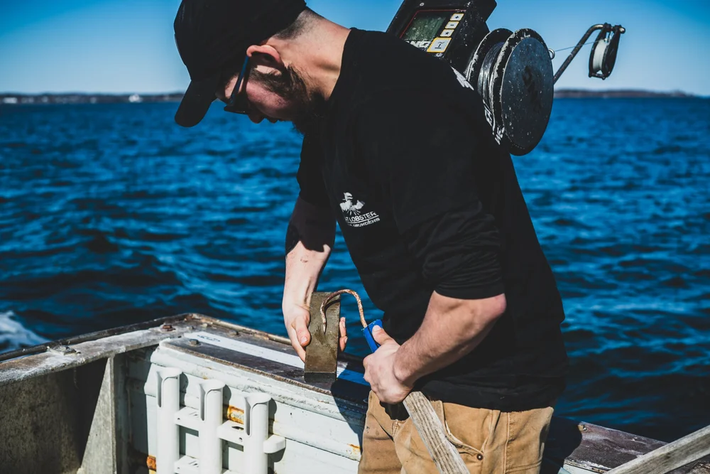 New England Fishmongers